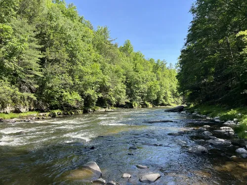 2023 Best Fishing Trails in Neversink River Unique Area | AllTrails