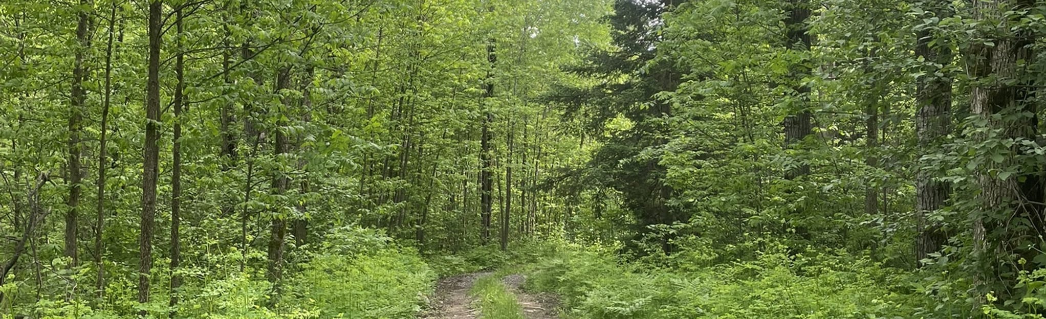Wasi Blue Trail: 11 Reviews, Map - Ontario, Canada | AllTrails