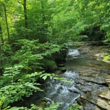 Saunders Springs Reservoir Loop, Kentucky - 132 Reviews, Map | AllTrails