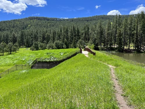 2023 Best Forest Trails in Nemo | AllTrails