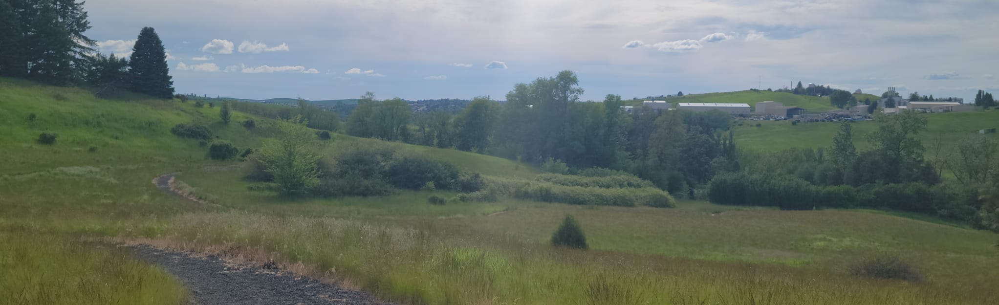 Arboretum Perimeter Trail, Washington - 60 Reviews, Map | AllTrails