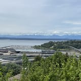 Seattle Waterfront Pathway, Washington - 719 Reviews, Map | AllTrails