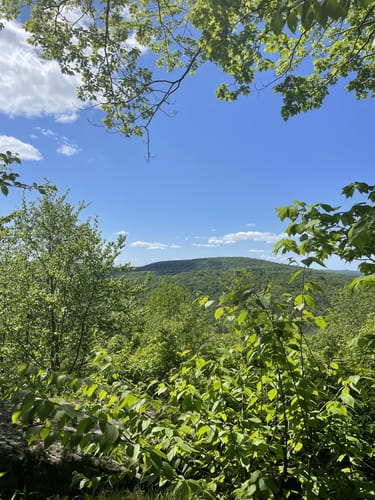 Best 10 Hikes and Trails in Delaware Wild Forest | AllTrails