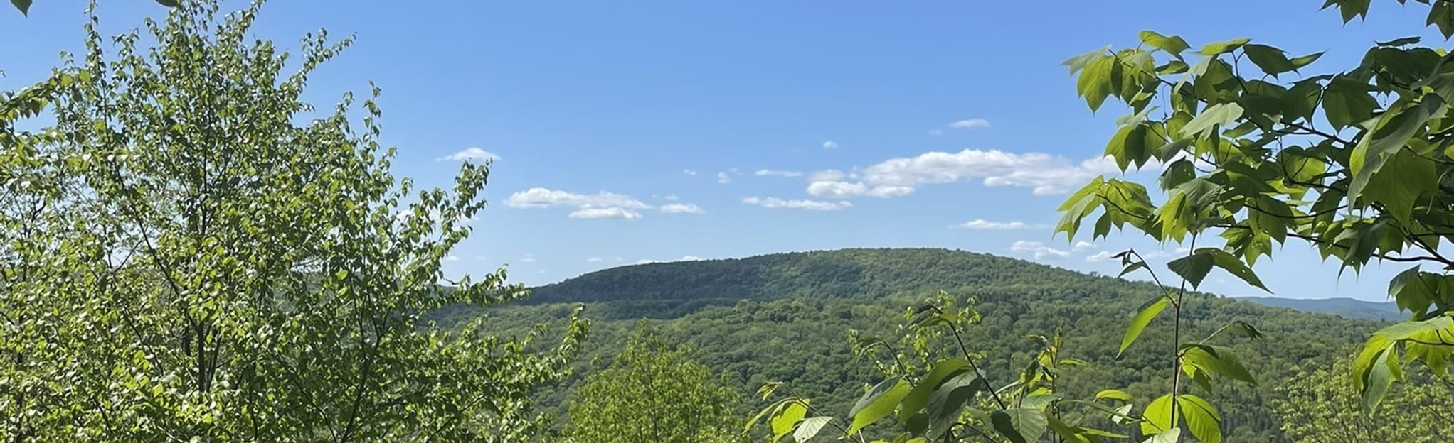 Split Rock Lookout via Mary Smith Hill Trail (Pelnor Hollow Trail): 62 ...