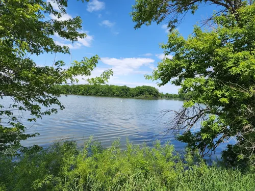 Best Hikes and Trails in Myre-Big Island State Park | AllTrails