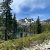 Sardine Lakes, California - 252 Reviews, Map | AllTrails