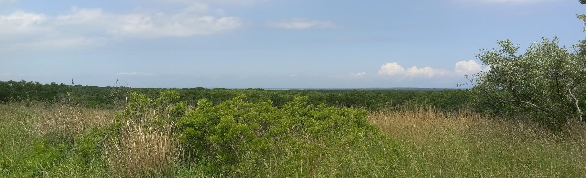 Paumanok Path Loop, New York - 66 Reviews, Map | AllTrails