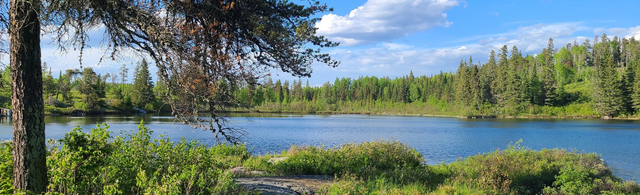 Pine Ridge Trail, Manitoba, Canada - 11 Reviews, Map | AllTrails