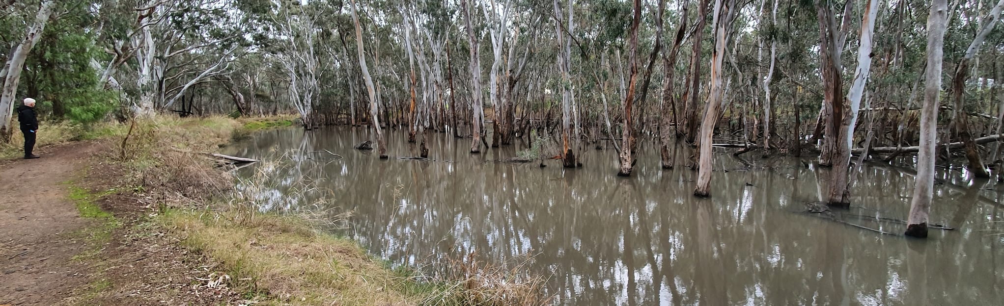 Nhill Lake and Bird Hide: 40 Fotos - Victoria, Australien | AllTrails