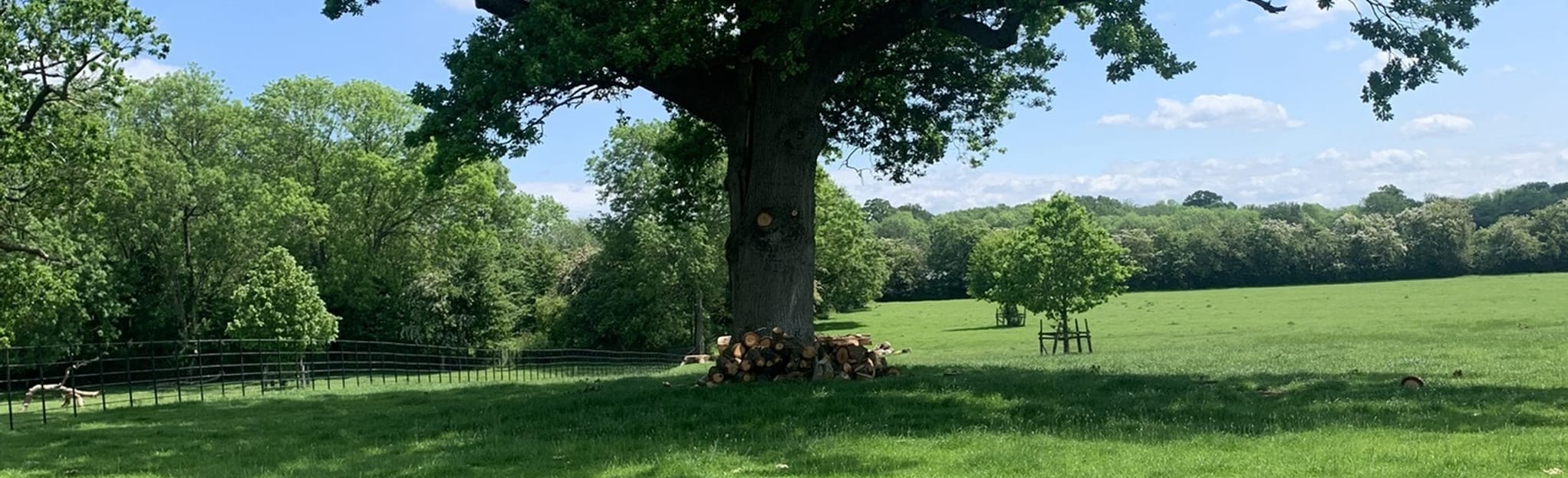 Linton Walking Tour Circular, Kent, England - 154 Reviews, Map | AllTrails