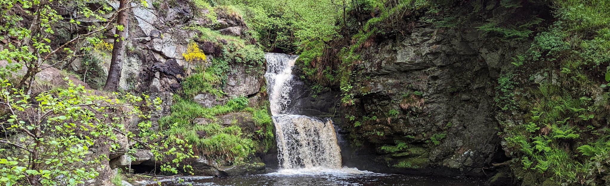 Linn Falls | Map, Guide - Moray, Scotland | AllTrails