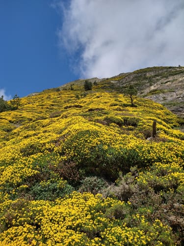I migliori sentieri vicino a Cascada de Arrako per il 2023 | AllTrails