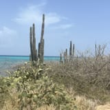 North Aruba - Sasariwichi Dunes, Aruba, Aruba - 134 Reviews, Map ...