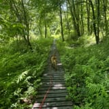 Capen Hill Nature Sanctuary, Massachusetts - 225 Reviews, Map | AllTrails