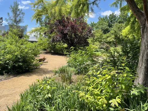 10 Best Trail Running Trails in Oklahoma City | AllTrails