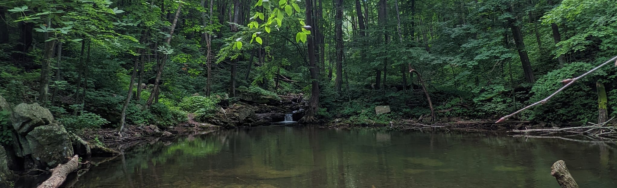 Sentinel Point: 57 Reviews, Map - Virginia | AllTrails