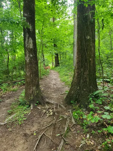 2023 Best Trail Running Trails in Butler | AllTrails