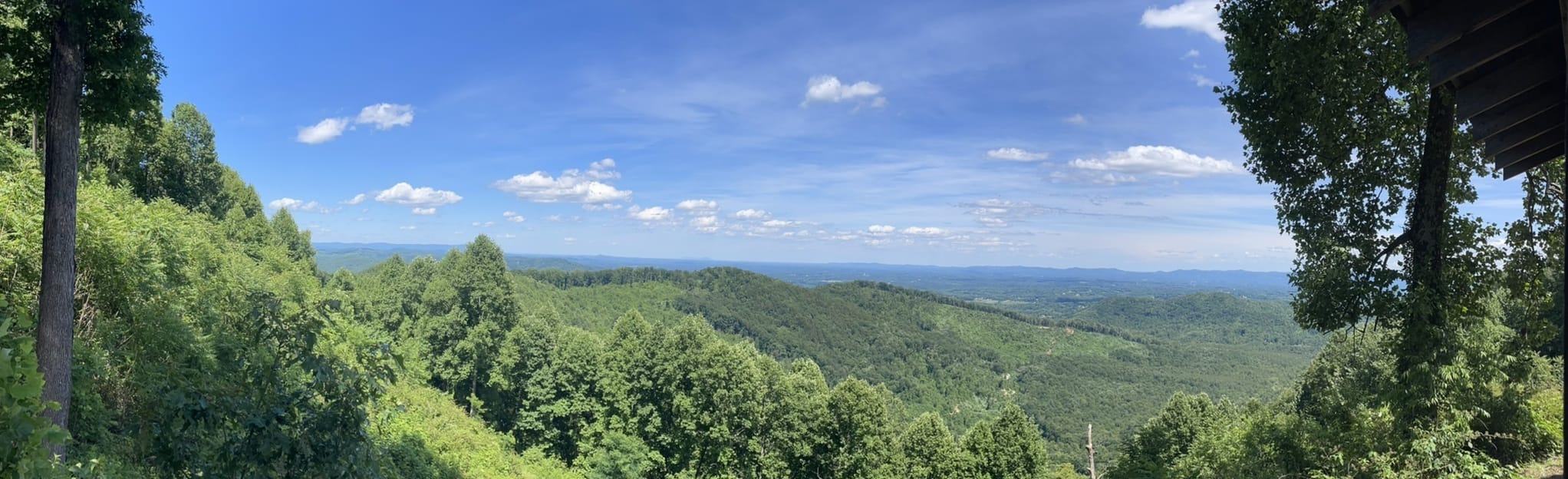 Talking Tree Trail: 29 Reviews, Map - North Carolina | AllTrails