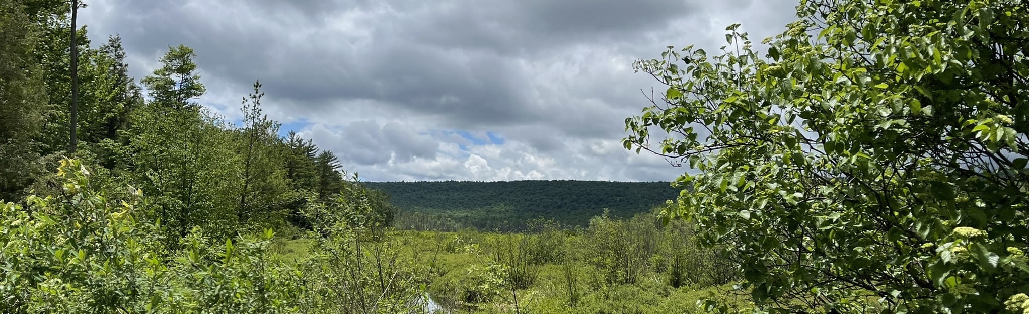 John Wert Path, Pennsylvania - 37 Reviews, Map | AllTrails