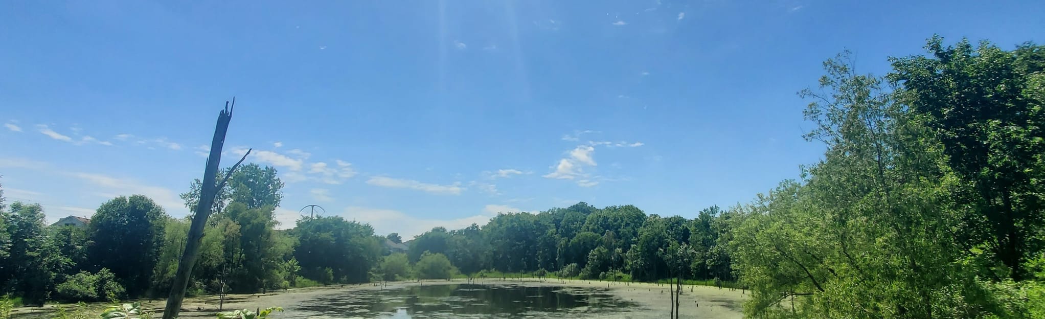 Pufferbelly Trail: 325 Reviews, Map - Indiana | AllTrails