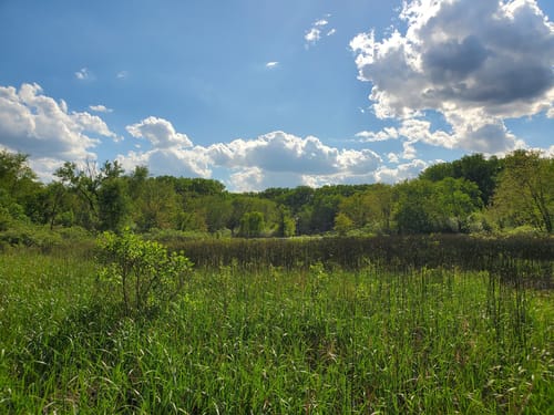 Best Hikes and Trails in Sand Ridge Nature Preserve | AllTrails