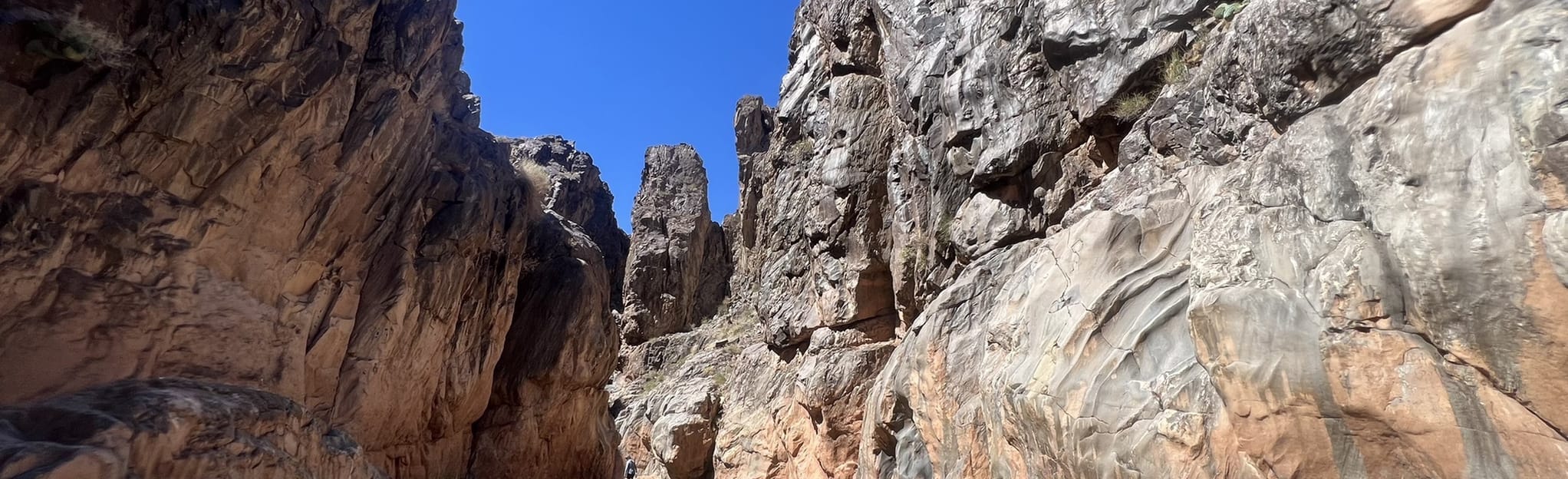 Shinumo Creek Falls, Arizona - 5 Reviews, Map | AllTrails