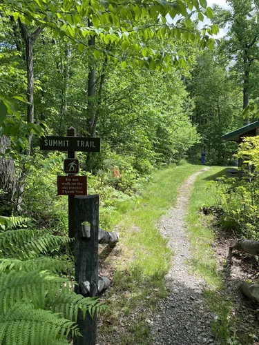 10 Best Hikes and Trails in Forbes State Forest | AllTrails