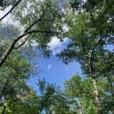 Lake Blue Ridge Campground Trail , Georgia - 469 Reviews, Map | AllTrails