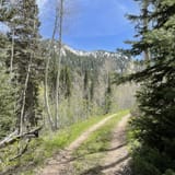 Silver Fork Trail, Utah - 133 Reviews, Map | AllTrails