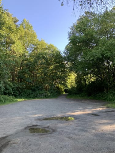 2023 Best Forest Trails in Upton State Forest | AllTrails