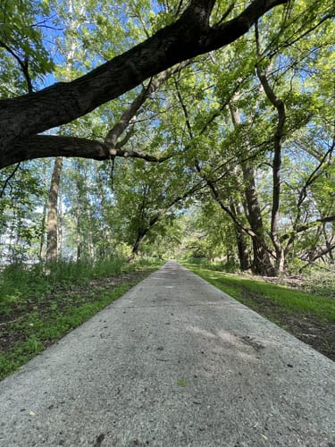 Best Hikes and Trails in Red Arrow Park | AllTrails