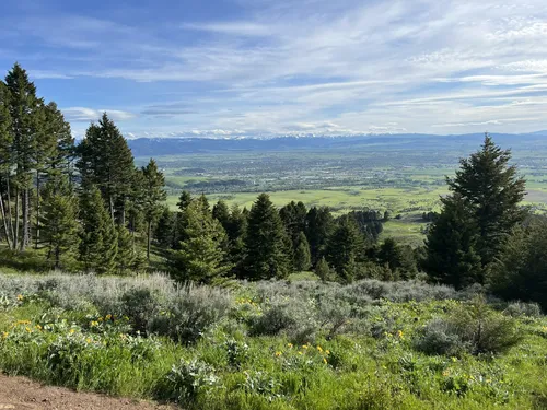 10 Best Trails and Hikes in Bozeman | AllTrails