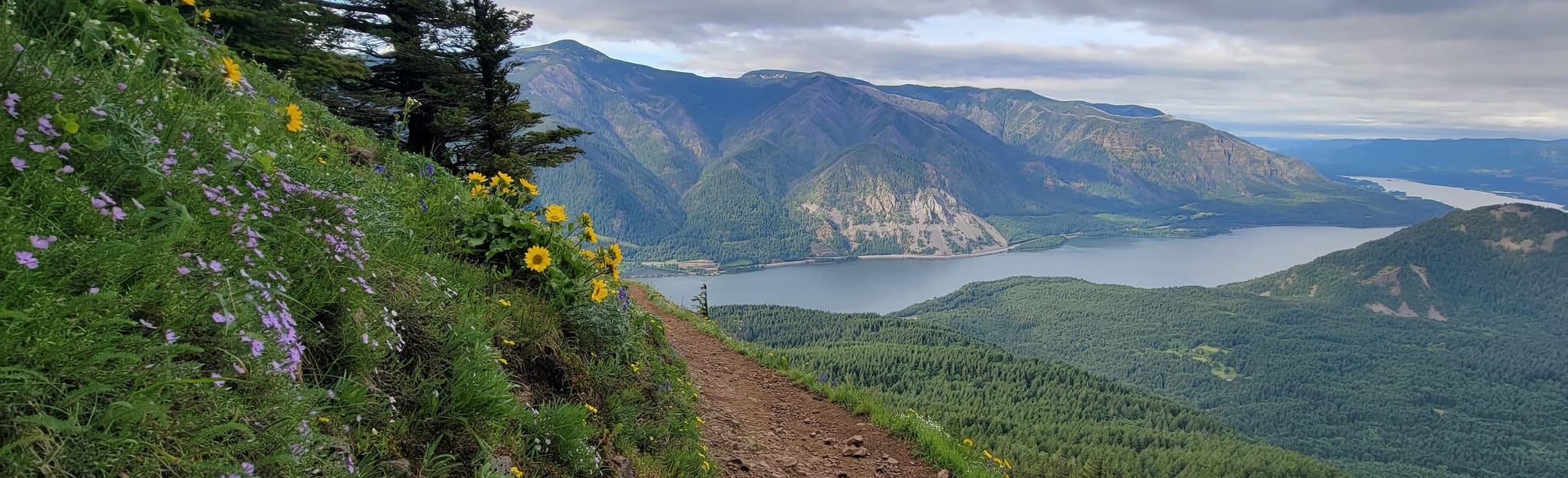 Dog Mountain Inner Loop, Washington - 314 Reviews, Map | AllTrails