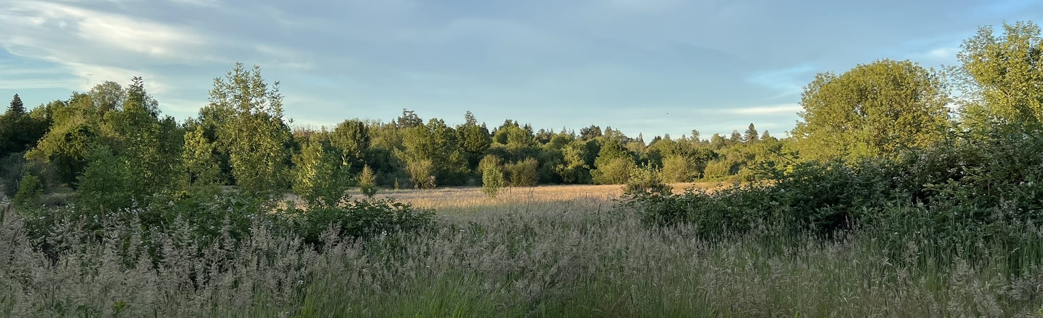 AllTrails | Ragle Ranch Trail: 68 Reviews, Map - California