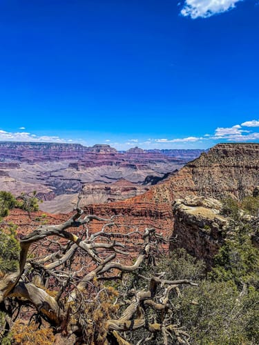 2023 Best 10 Easy Trails in Grand Canyon | AllTrails
