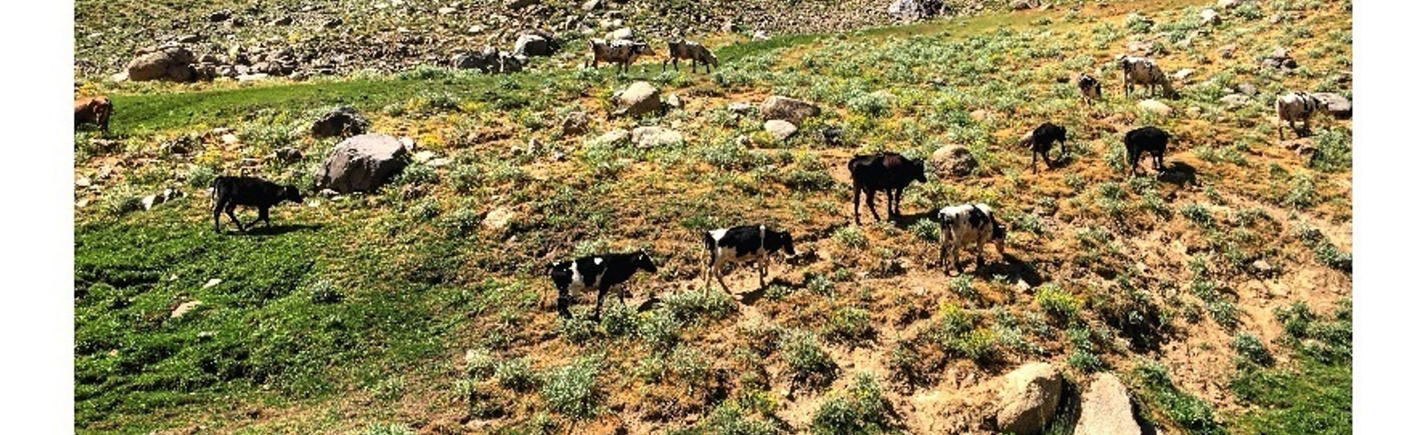 Kalagh Lan Summit Extended Loop - Hamadan, Iran | AllTrails