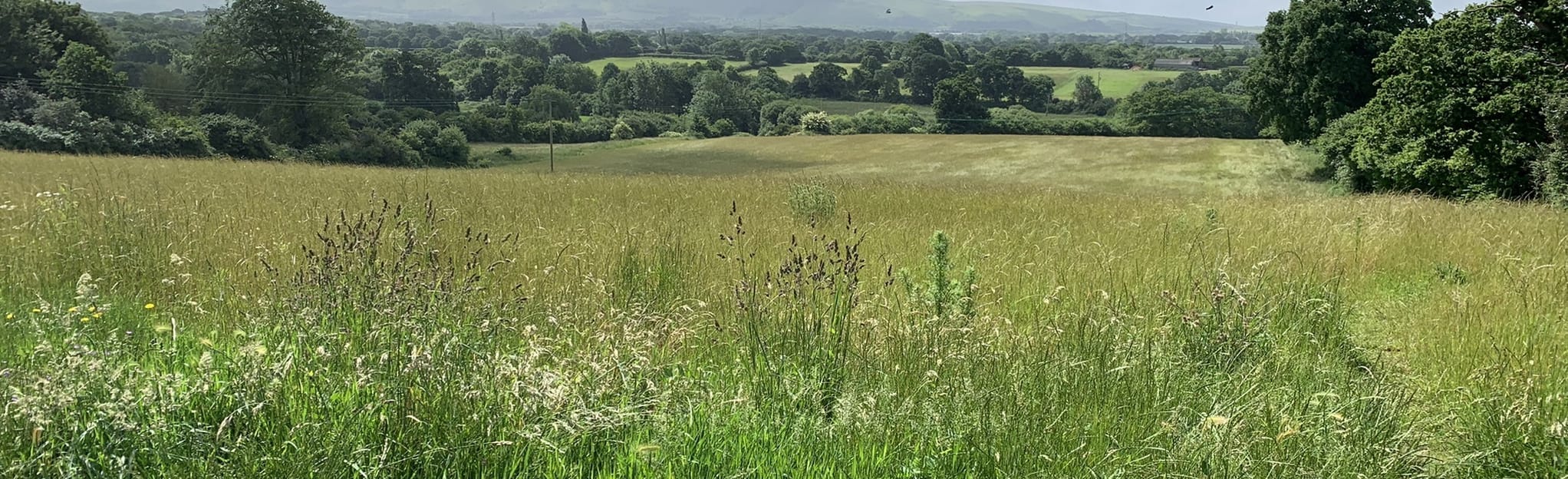 Henfield Village Circular: 3 Reviews, Map - West Sussex, England ...