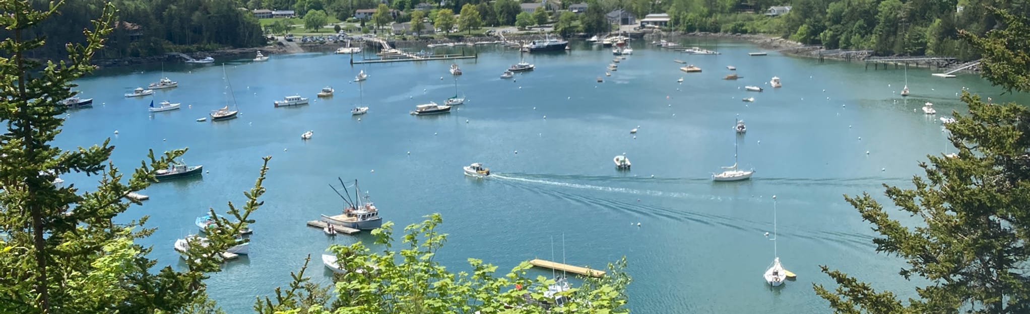 Thuya Lodge and Garden from Peabody Drive: 66 Reviews, Map - Maine ...