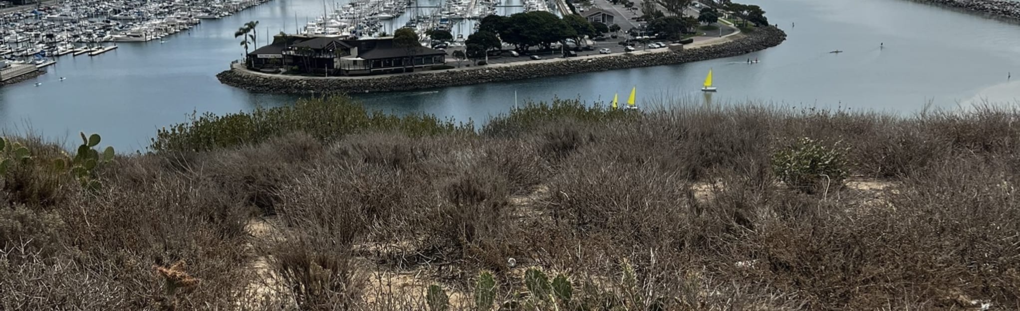 Harbor Point Conservation Park, California - 37 Reviews, Map | AllTrails