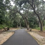Hugh S. Branyon Backcountry Trail, Alabama - 467 Reviews, Map | AllTrails