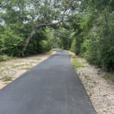 Hugh S. Branyon Backcountry Trail, Alabama - 467 Reviews, Map | AllTrails