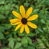 Longleaf Trace Trail, Mississippi - 306 Reviews, Map | AllTrails