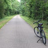 Longleaf Trace Trail, Mississippi - 306 Reviews, Map | AllTrails