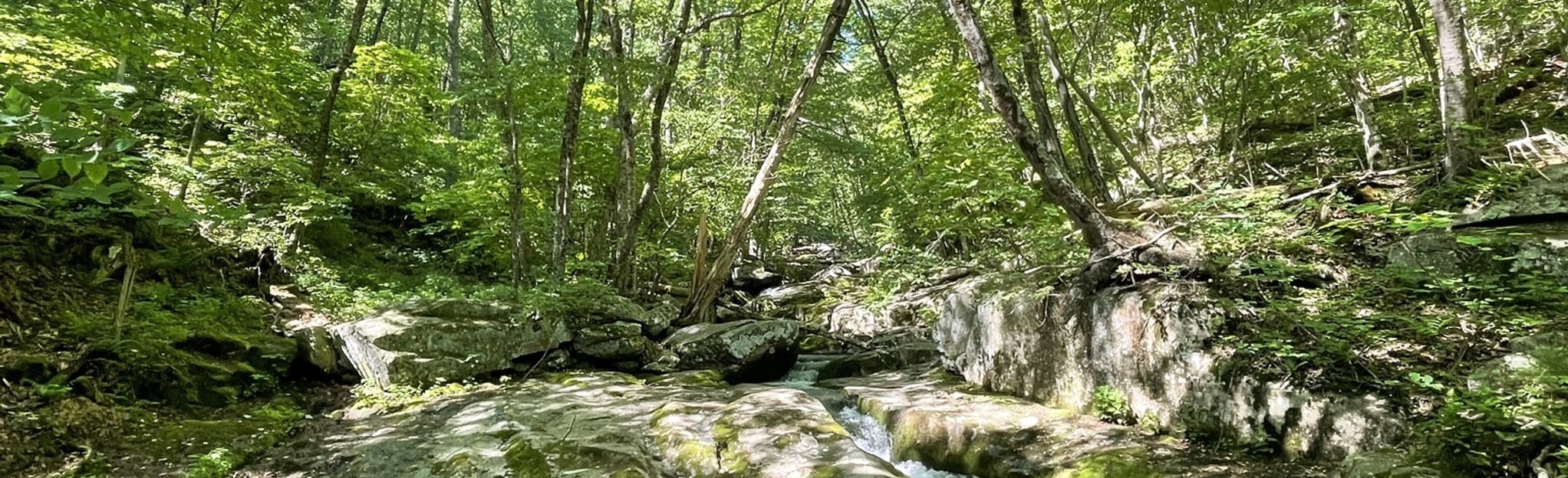 Rose River Falls: 587 Reviews, Map - Virginia | AllTrails