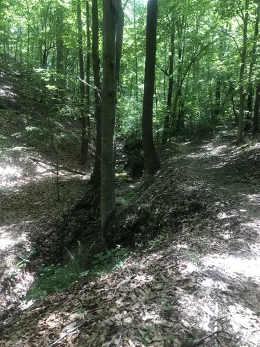 Best Hikes and Trails in Dan Daniel Memorial Park | AllTrails