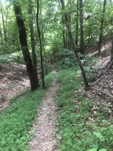 Best Hikes and Trails in Dan Daniel Memorial Park | AllTrails