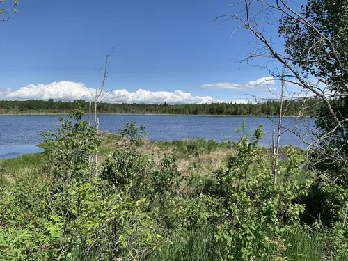 10 Best Forest Trails in Antler Lake | AllTrails