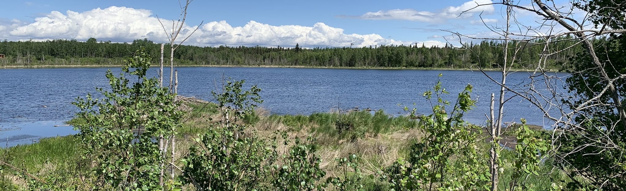 Lost Lake - Spruce Hollow - Neon Lake, Alberta, Canada - 125 Reviews ...