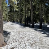 Thorp Lake via Thorp Creek Trail, Washington - 136 Reviews, Map | AllTrails