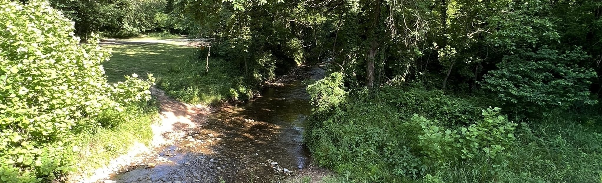Applegate Trail, Arkansas - 503 Reviews, Map | AllTrails